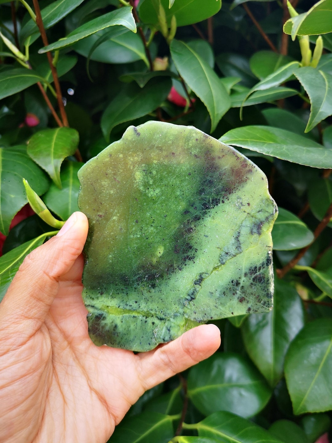 Nephrite Jade, Nephrite Jade Slabs, Heart and Womb Healing Plates, Hand ...
