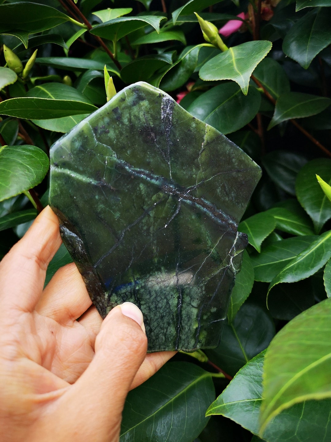 Nephrite Jade Nephrite Jade Slabs Hand Polished Jade - Etsy