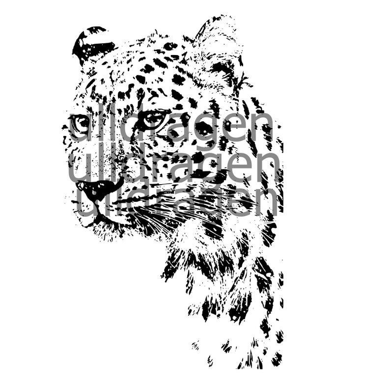 Snow Leopard, Cutfile , SVG, PDF, JPG, Cameo, Cricut, Download, Vinyl ...