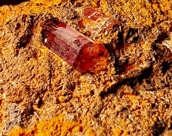 Diaspore Matrix - Etsy