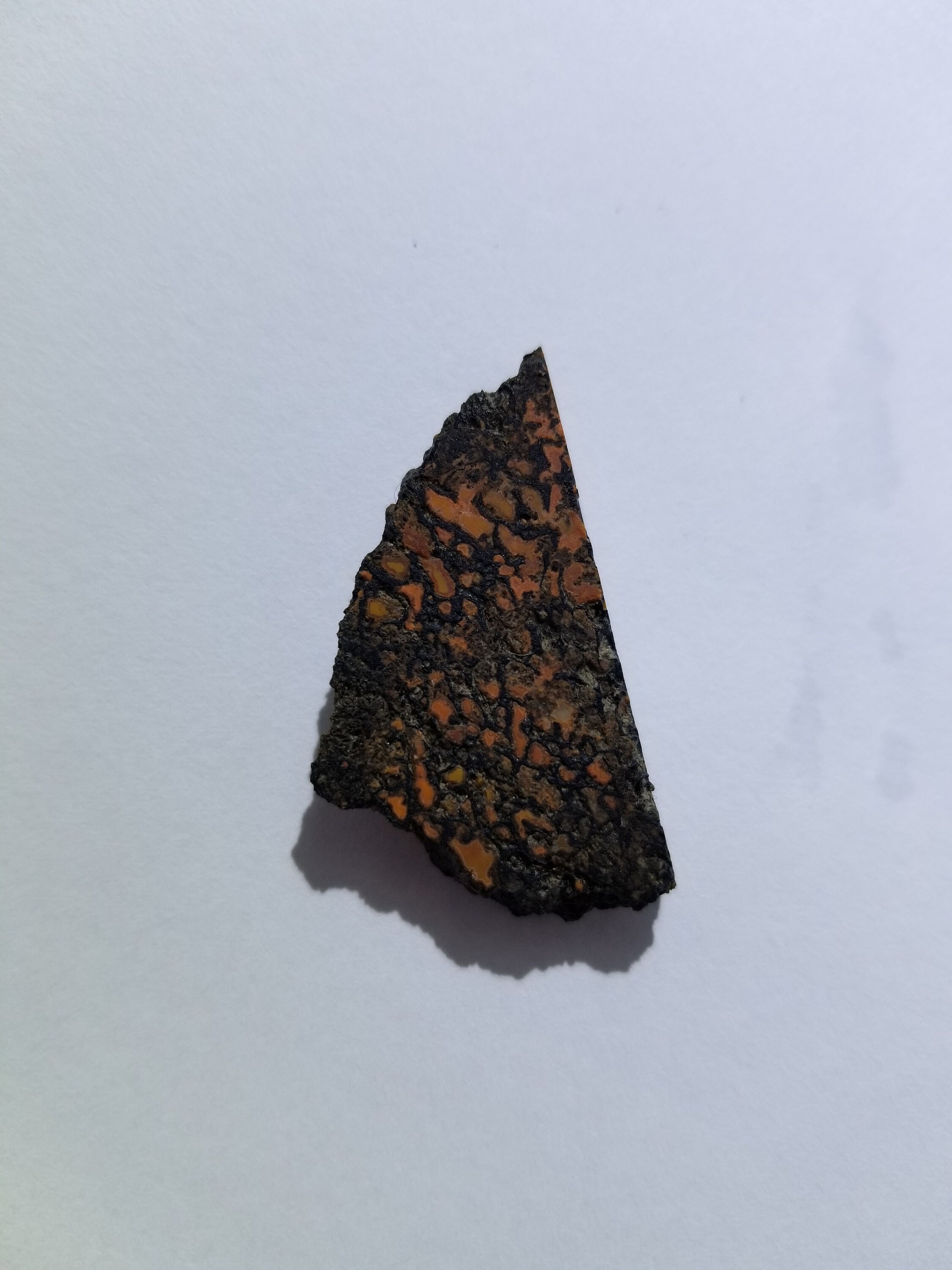 Gembone Dinosaur Gembone Dinosaur Bone Gem Bone Fossil - Etsy