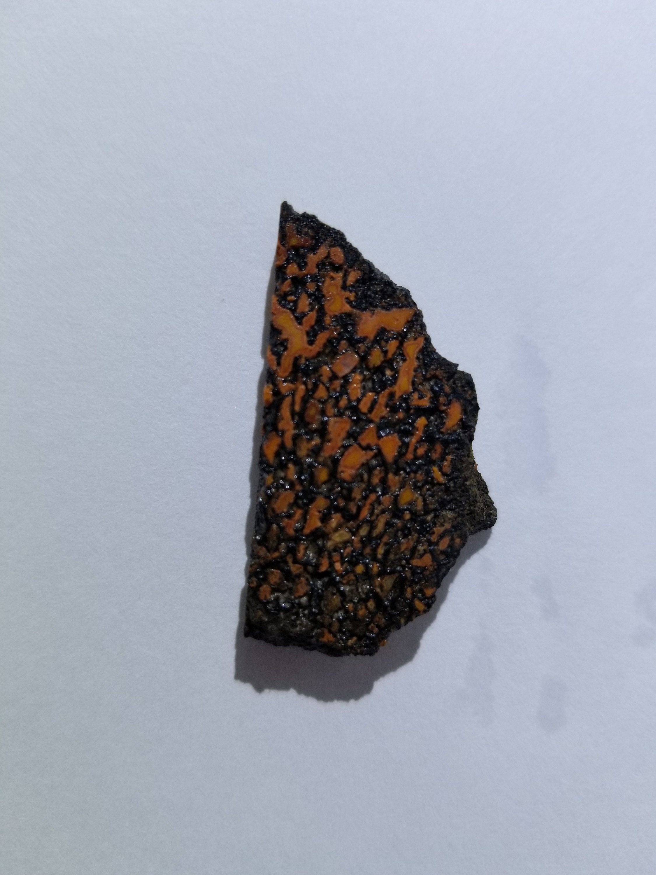 Gembone Dinosaur Gembone Dinosaur Bone Gem Bone Fossil - Etsy