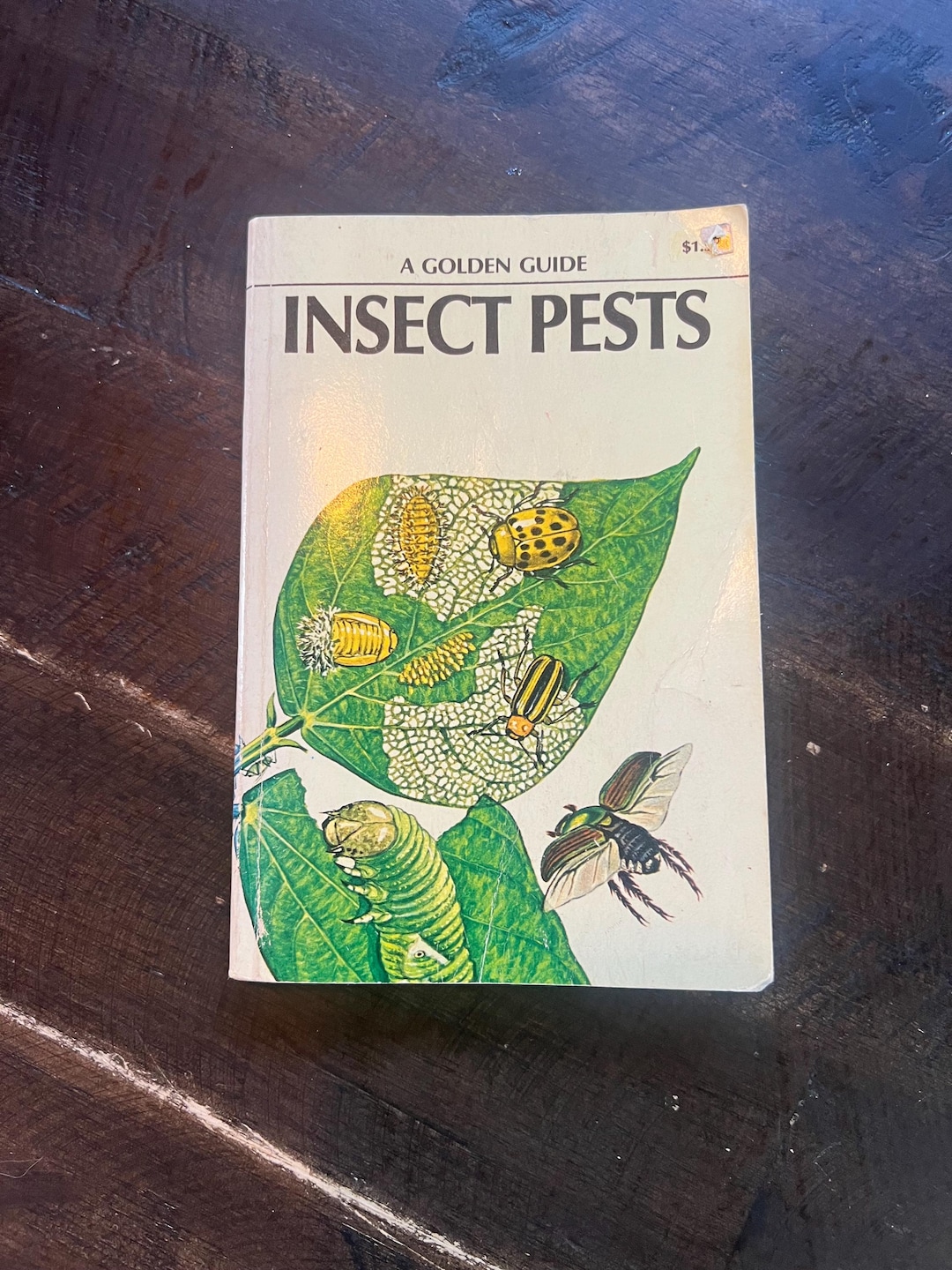 Vintage Field Guide Insect Pests | Vintage Book | A Golden Guide - Etsy