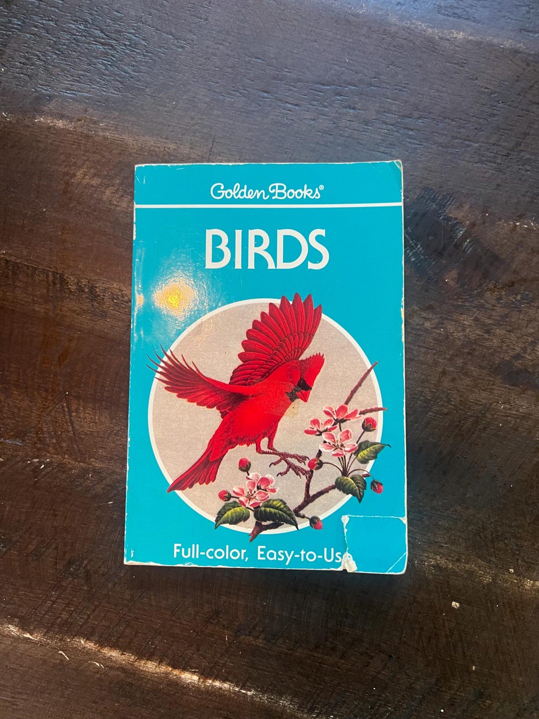 Vintage Field Guide Birds Vintage Book A Golden Guide - Etsy