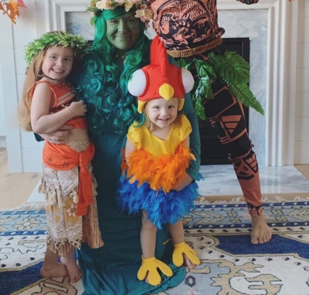 Hen Rooster Chicken Costume for Kids and Adult, Animal Theme Party Wear ...