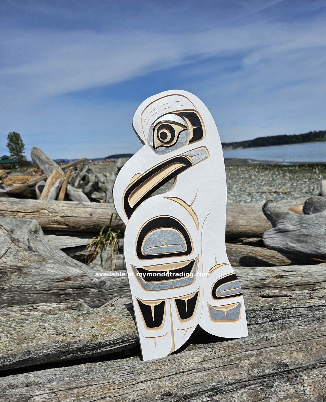 Indigenous Native American Pacific Northwest Coast Native Spirit Raven ...