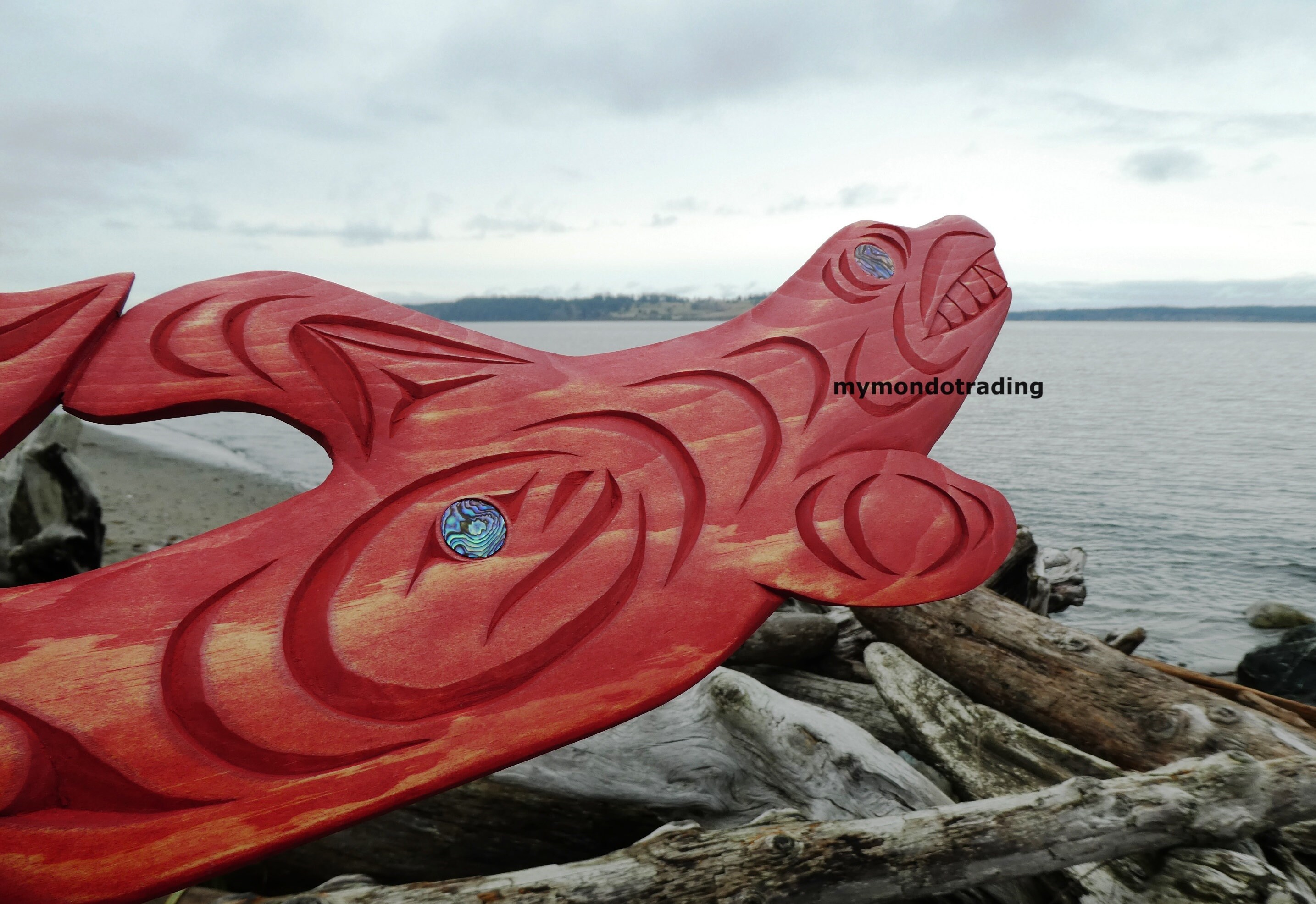 Indigenous Native American Pacific Northwest Coast Native Orca Whale ...