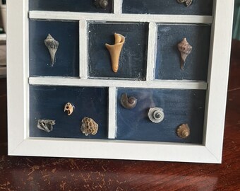 Shell Art Shadow Box - Etsy