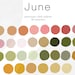 Earth Tones Color Palette, 30 Handpicked Swatches for Procreate, Colors ...