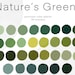 Nature’s Greens Color Palette, 30 Handpicked Swatches for Procreate ...