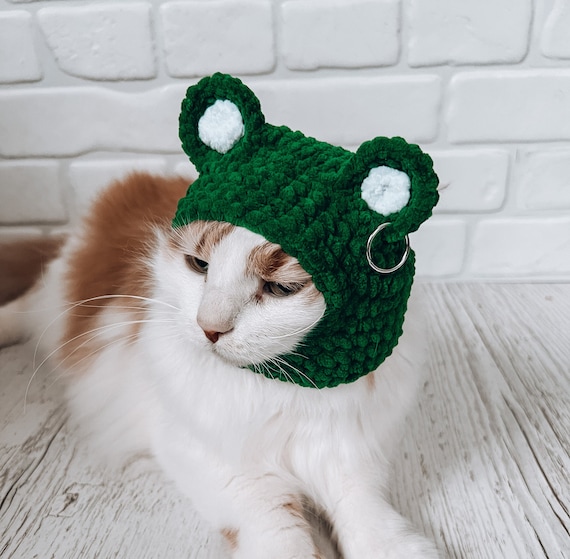 Balaclava With Ears for Cats and Small Dogs Winter Hat for - Etsy