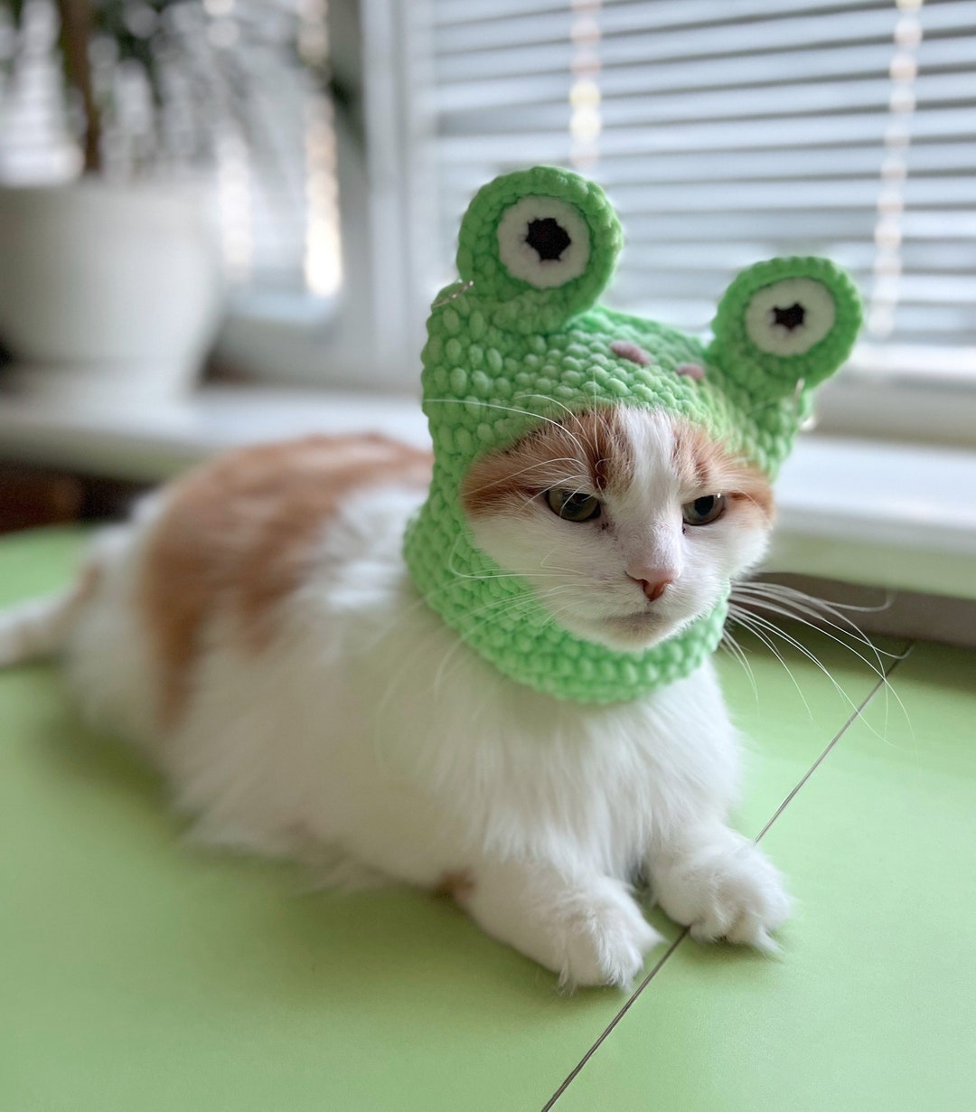 Balaclava With Ears for Cats and Small Dogs, Winter Hat for Pets, Face ...