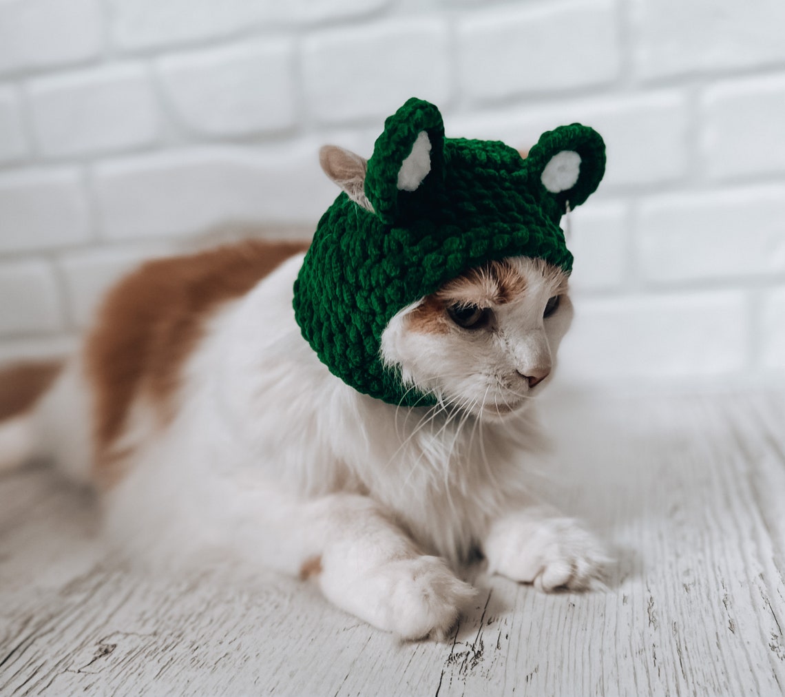 Balaclava With Ears for Cats and Small Dogs Winter Hat for - Etsy