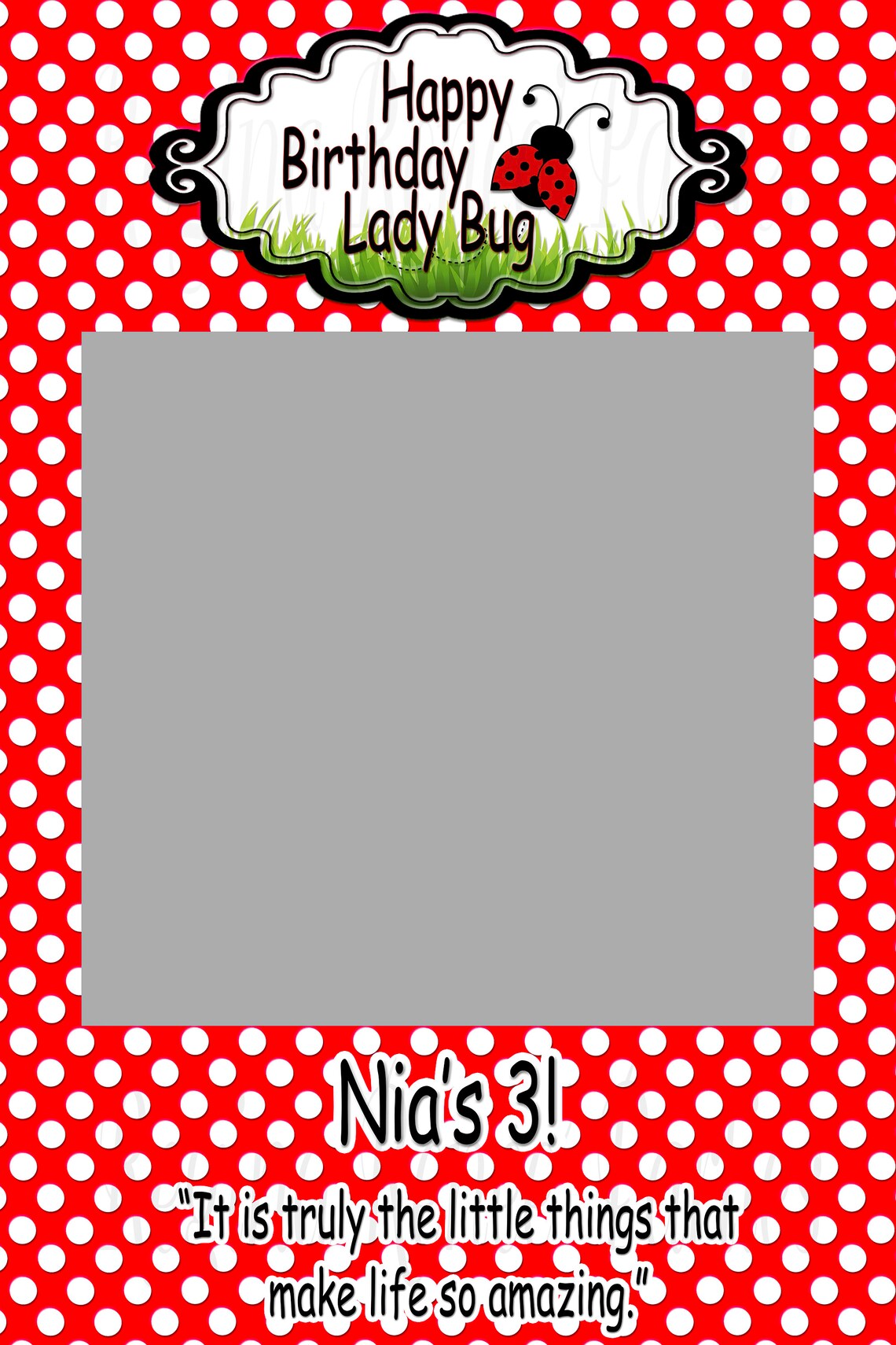 Lady Bug Photo Prop Frames | Lady Bug Favors | Lady Bug Picture Frames ...