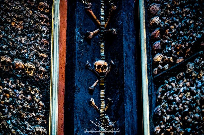 MEMENTO MORI Skulls Fine Art Print - Set of Five #18 - Cranium Cemetery ...