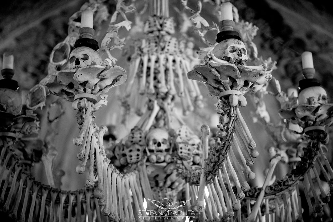 MEMENTO MORI Skulls Fine Art Print - Set of Five #10 - Cranium Cemetery ...