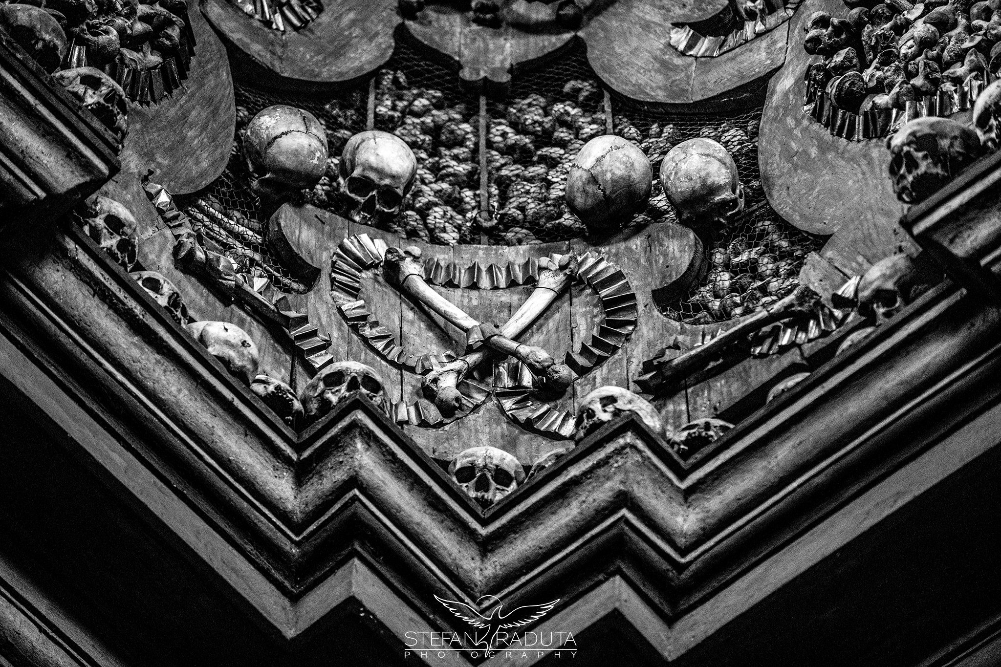 MEMENTO MORI Skulls Fine Art Print - Set of Five #18 - Cranium Cemetery ...