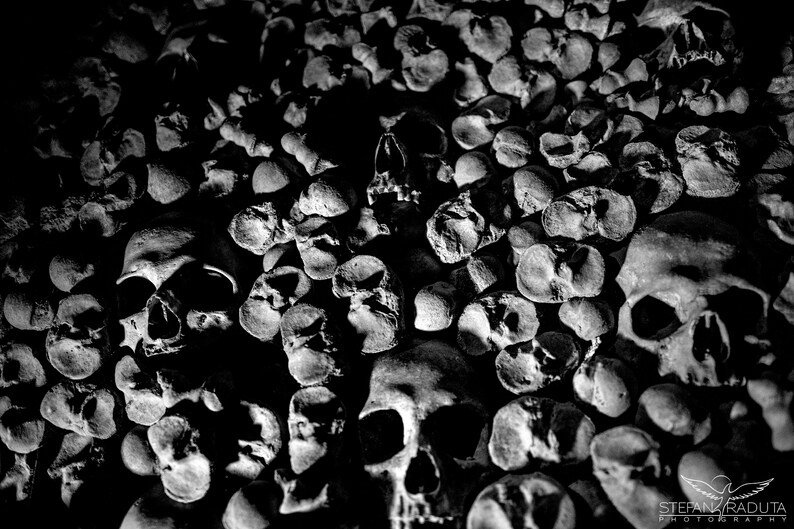 MEMENTO MORI Skulls Fine Art Print - Set of Five #11 - Cranium Cemetery ...