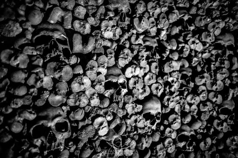 MEMENTO MORI Skulls Fine Art Print - Set of Five #11 - Cranium Cemetery ...