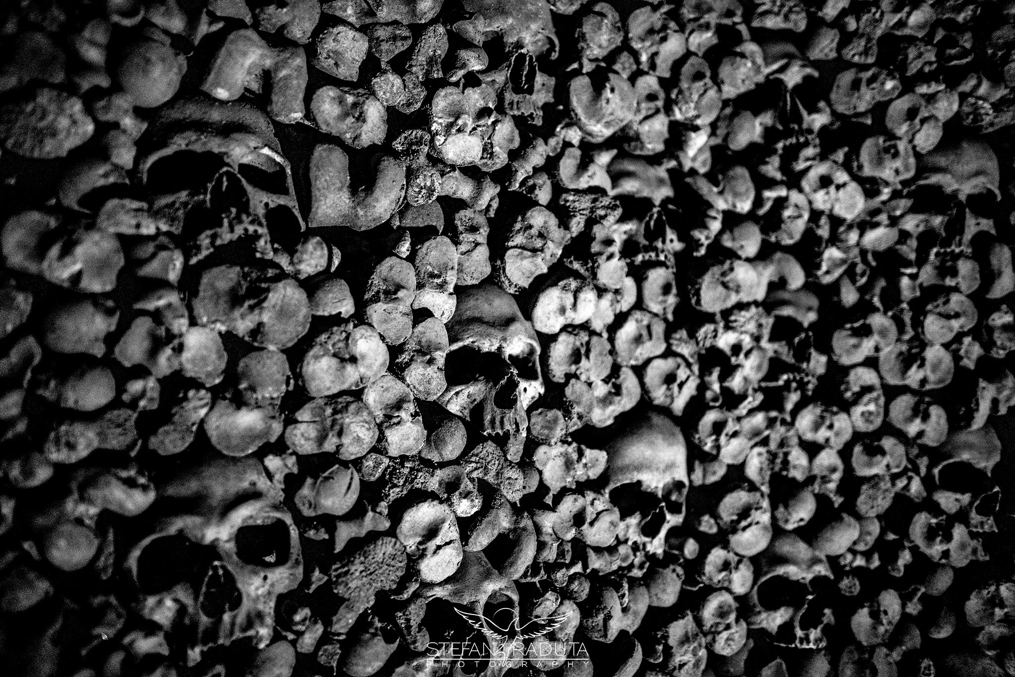 MEMENTO MORI Skulls Fine Art Print - Set of Five #11 - Cranium Cemetery ...