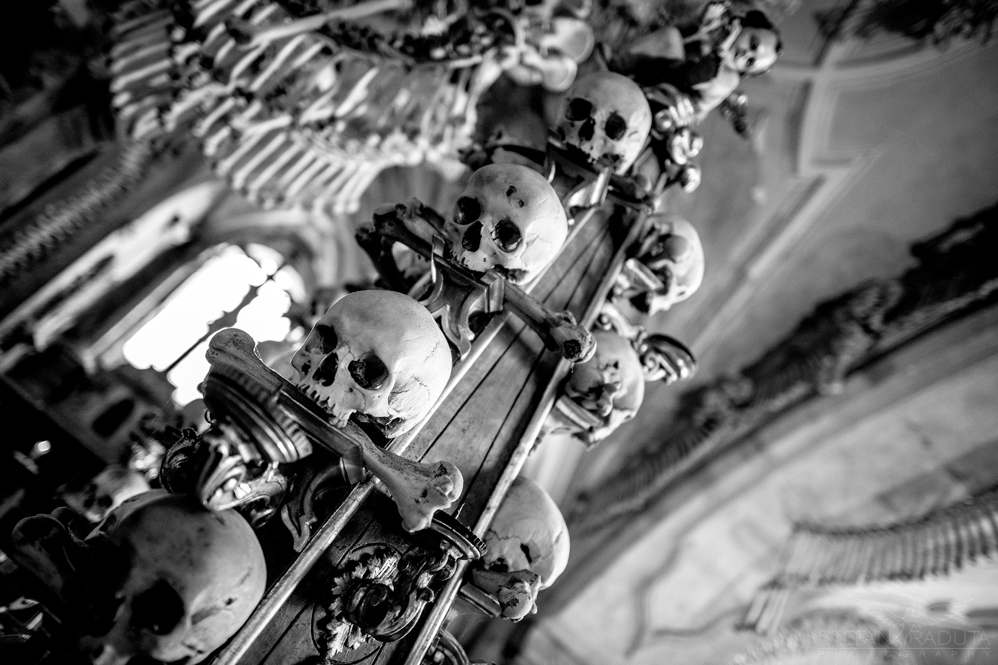 MEMENTO MORI Skulls Fine Art Print - Set of Five #2 - Cranium Cemetery ...