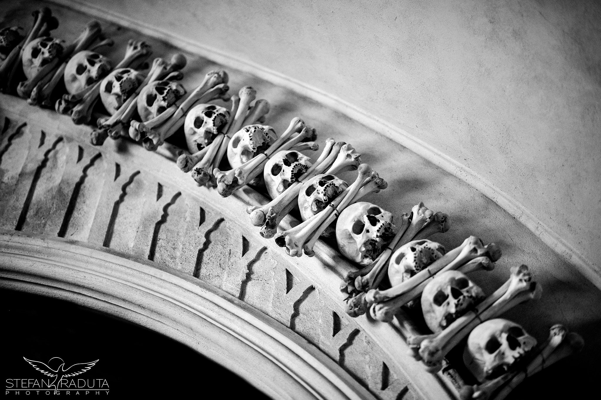 MEMENTO MORI Skulls Fine Art Print - Set of Five #8 - Cranium Cemetery ...