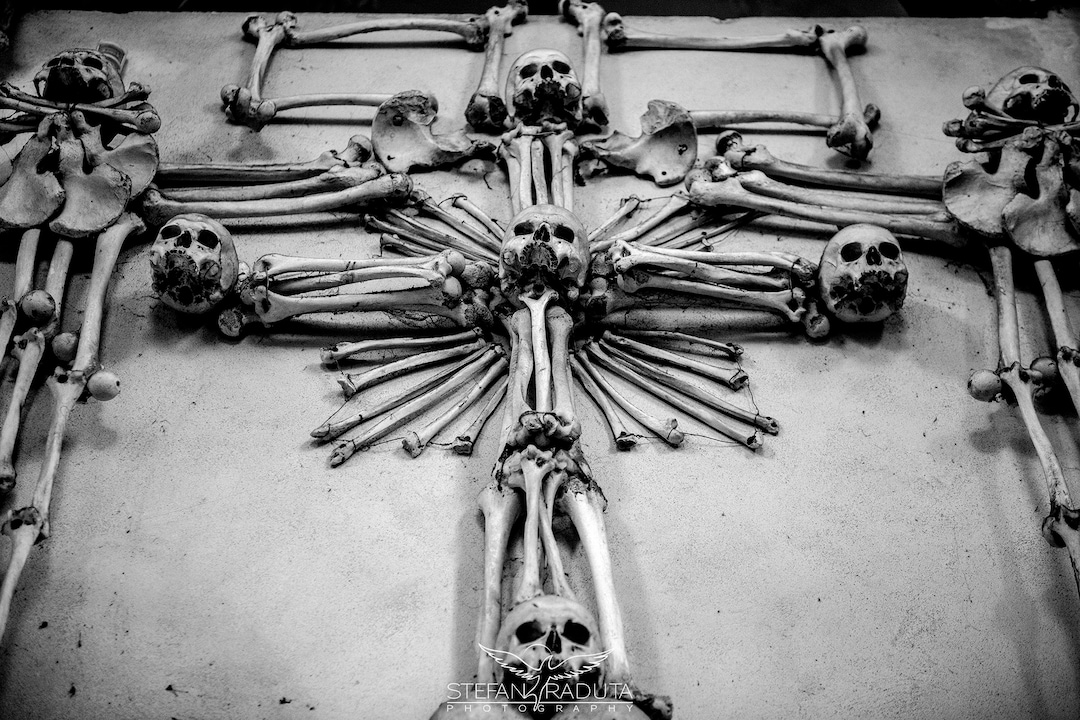 MEMENTO MORI Skulls Fine Art Print - Set of Five #16 - Cranium Cemetery ...