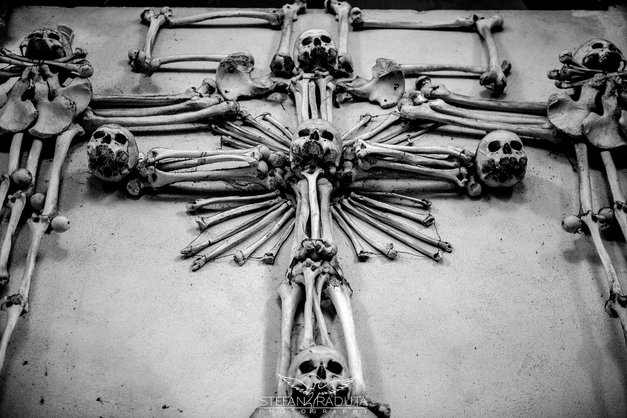 MEMENTO MORI Skulls Fine Art Print - Set of Five #16 - Cranium Cemetery ...
