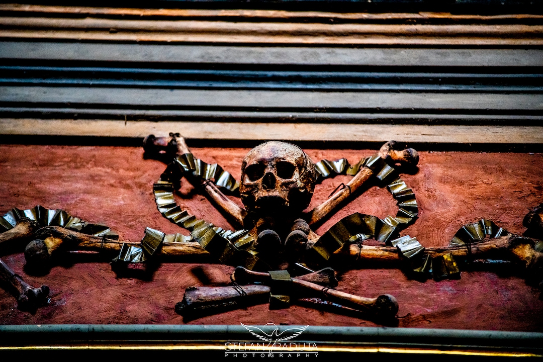 MEMENTO MORI Skulls Fine Art Print - Set of Five #18 - Cranium Cemetery ...