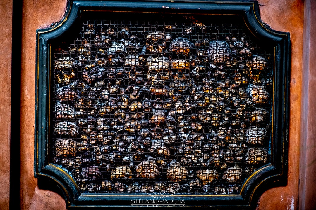 MEMENTO MORI Skulls Fine Art Print Set of Five 17 Cranium Cemetery ...