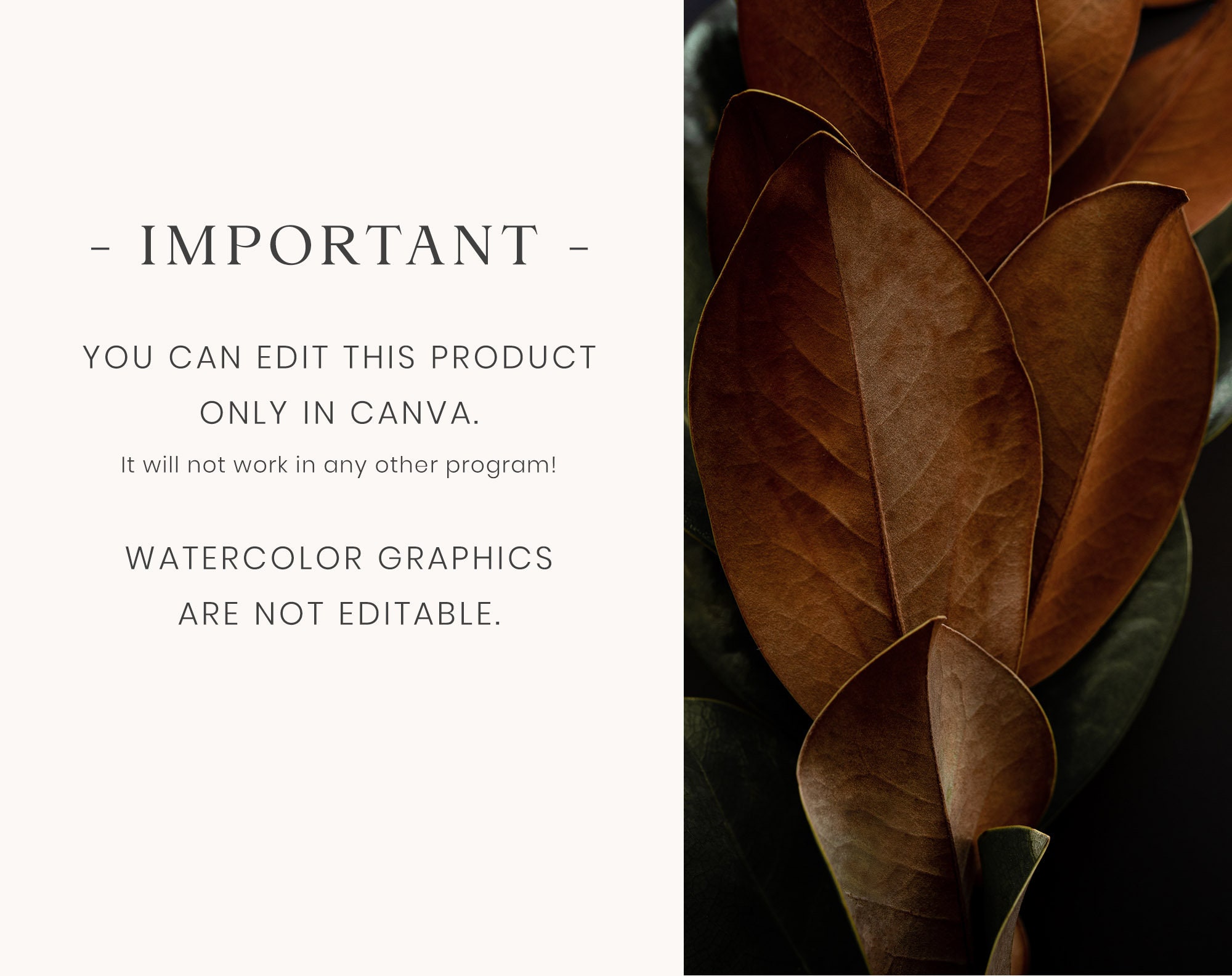 Pastel Etsy Banner Canva Template Etsy Branding Kit Etsy - Etsy