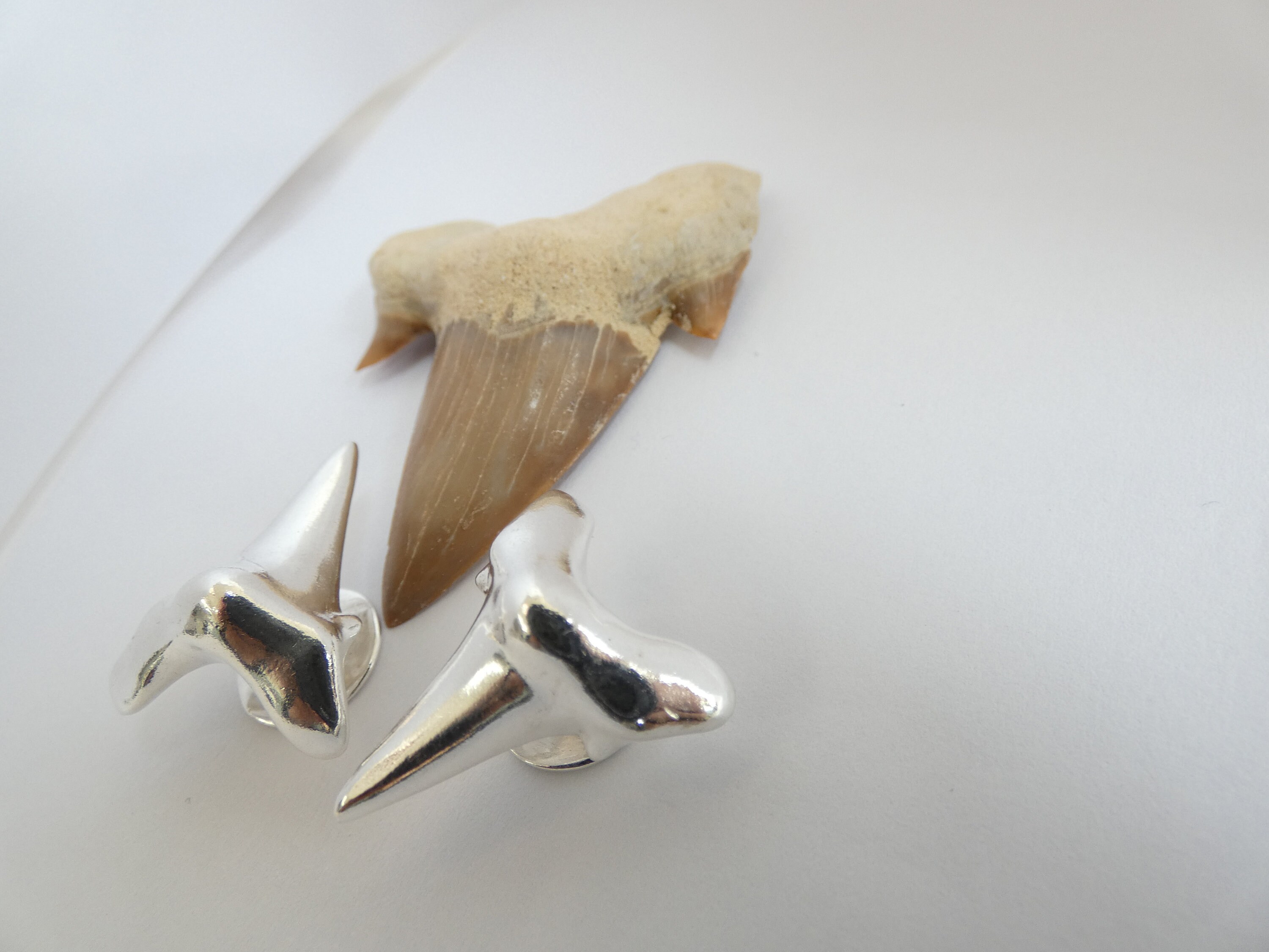 Shark Tooth Cuff Links, Sterling Silver Shark Tooth, Animal Lover ...