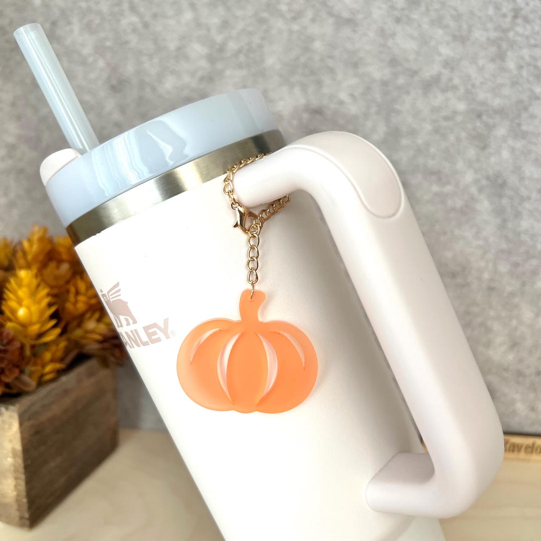 Simple Modern Hydro Flask Fall handle Charm Bogg Bag Charm Tumbler ...