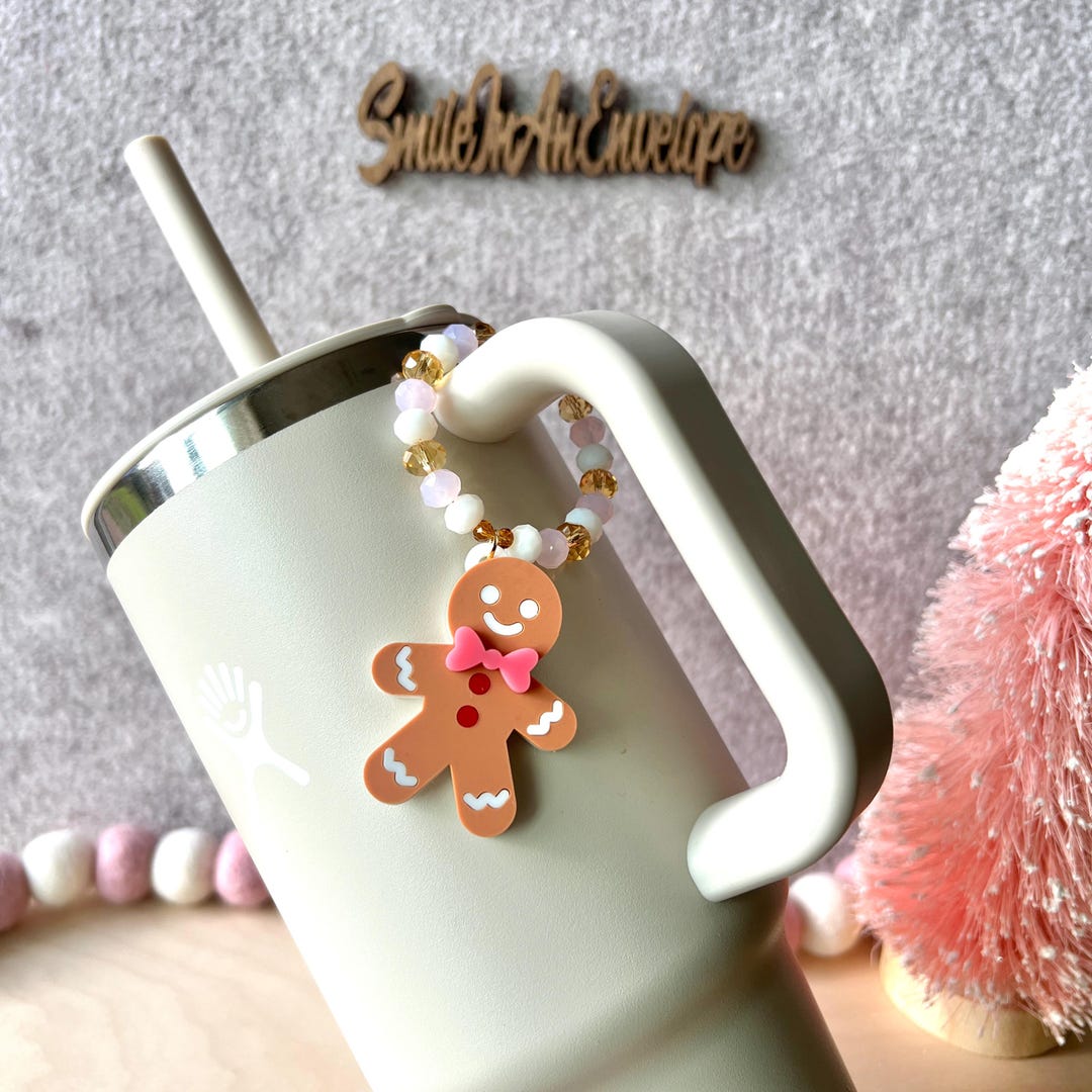 Stanley Hydro Flask Simple Modern Bogg Bag Tumbler Charm Handle Charm ...