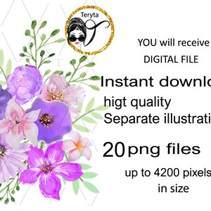 Isabela Encanto Clipart, Isabella Encanto Flowers Clipart, Isabella ...