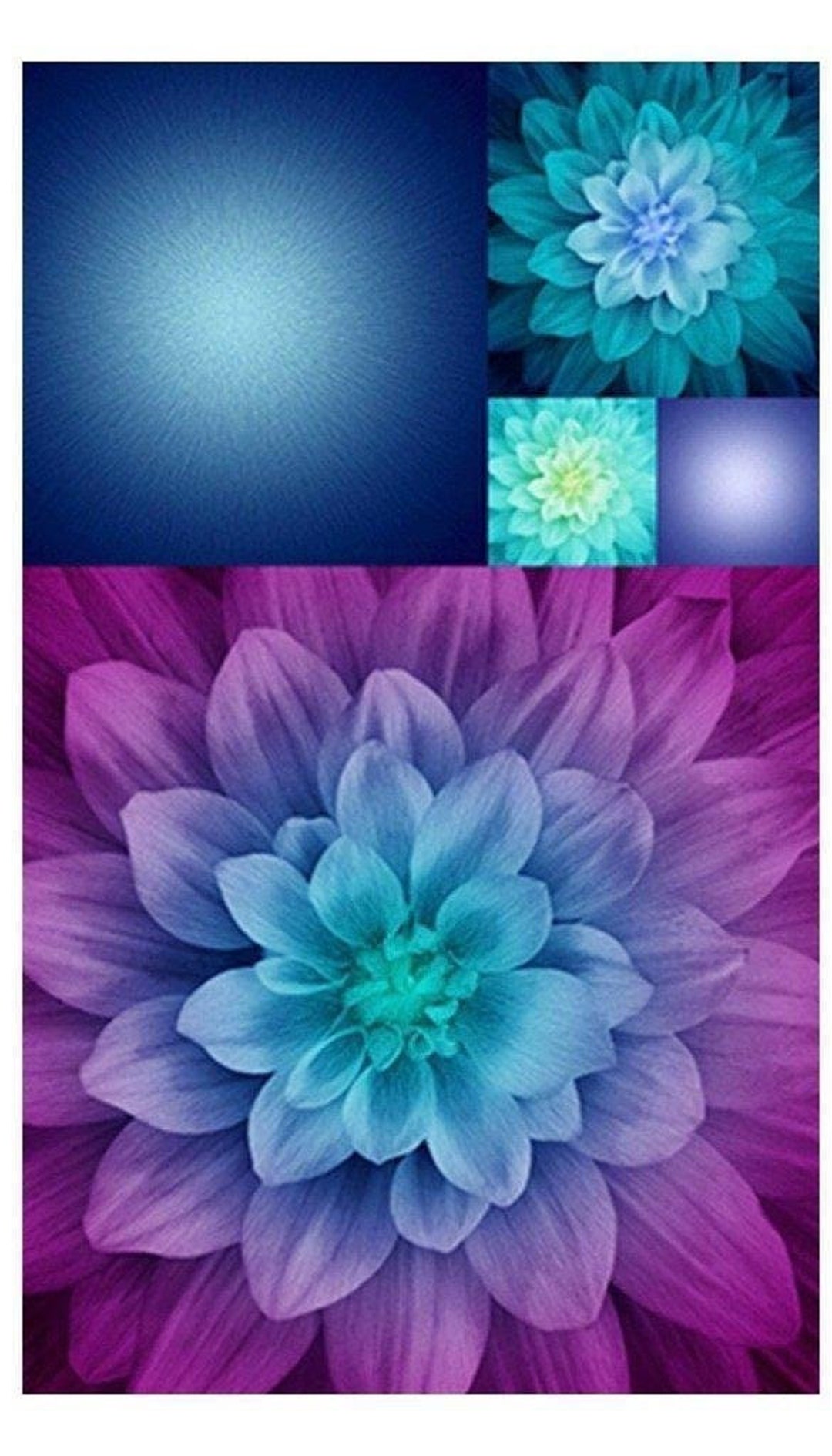 Hoffman Dream Big and Kabloom Aurora Spectrum 4497 532. 100% Cotton ...