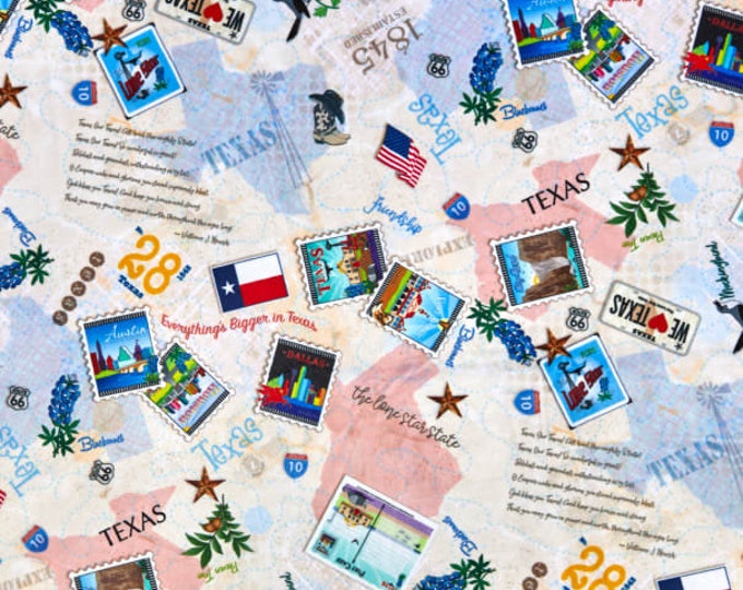 Timeless Treasures Parks Map Texas Minky. 100% Polyester Fabric. - Etsy