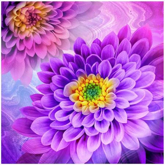 Dahlia Dazzle Purple Digital Panel by Oasis Fabrics. - Etsy
