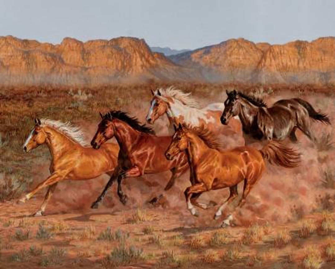 Southwest Horses. From Four Seasons by David Textiles. Warm - Etsy