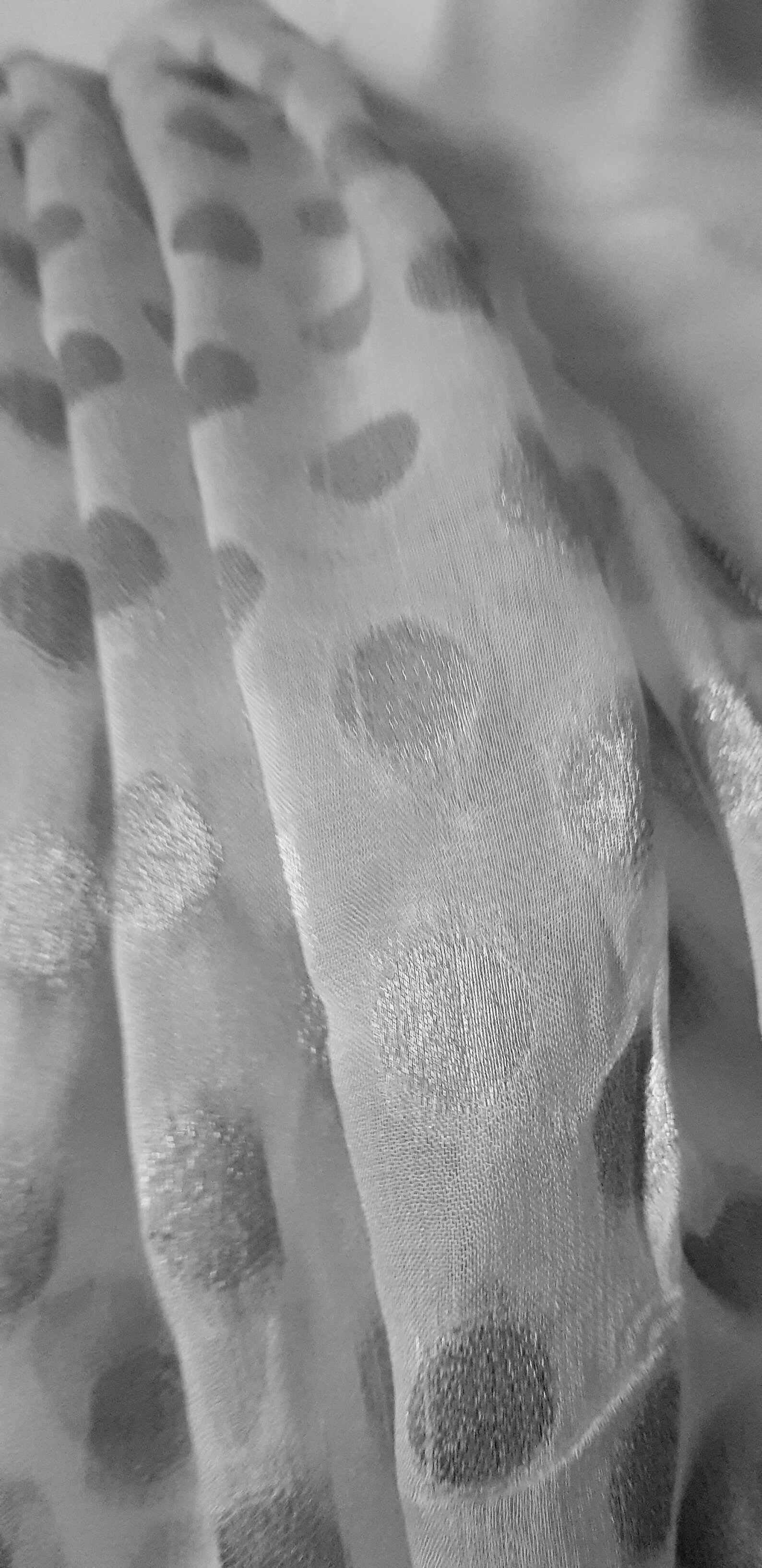 Silver Shawl, Silver Scarf, Silver Wrap, Organza Shawl, Silver Organza ...