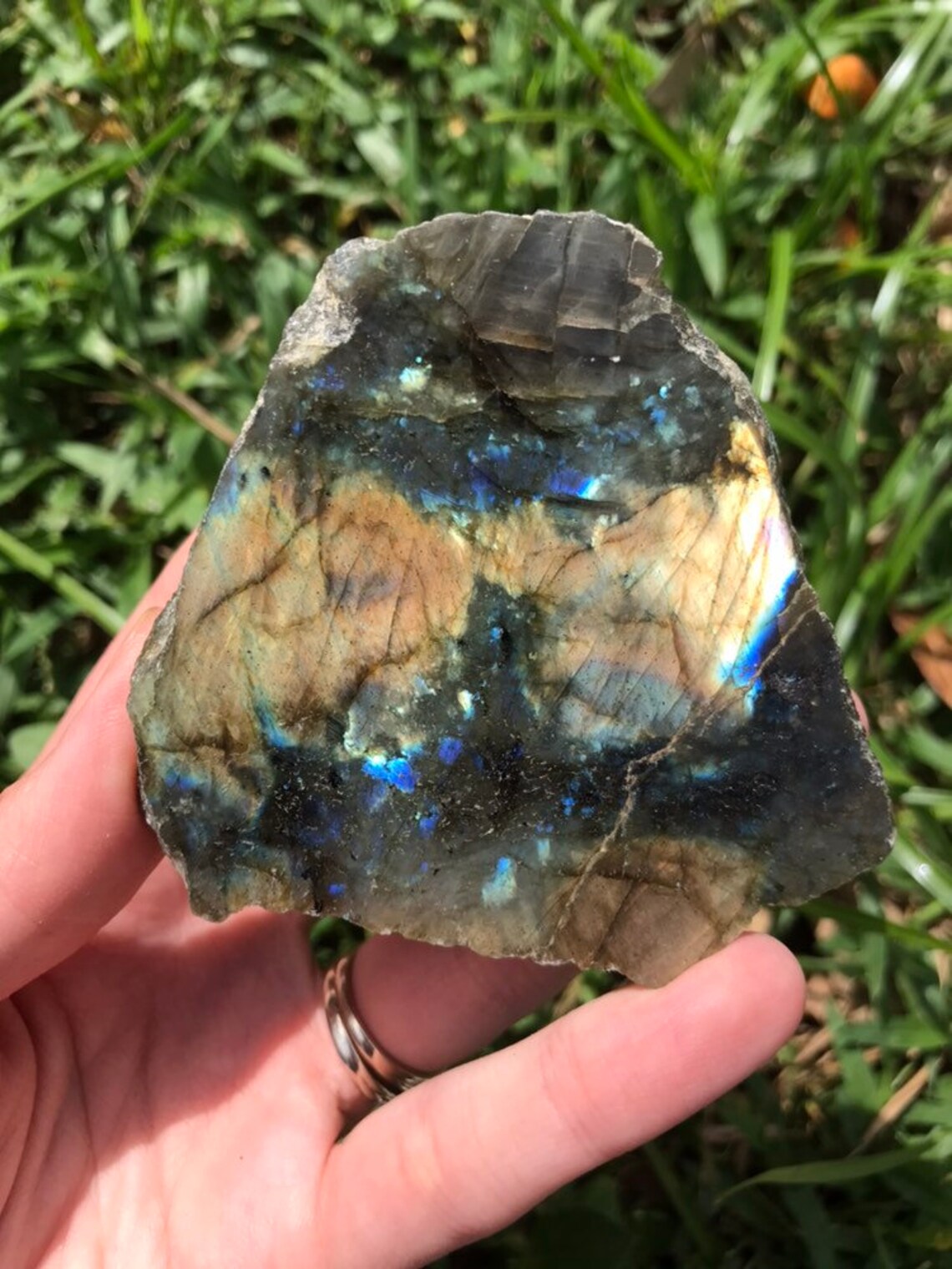 Yellow Labradorite Display Piece Polished Slab Rough | Etsy