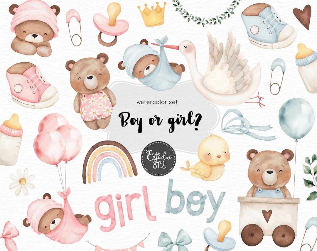 Boy or Girl Clipart Bundle: Gender Reveal Party, Teddy Bear, Bird ...