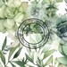 Seamless Succulent Patterns, Digital Paper Bundle, Scrapbooking Paper ...