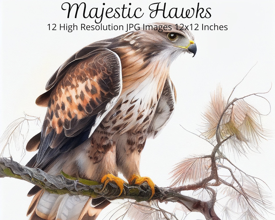 Hawk Artwork Watercolor Hawk Painting Printable Wall Art - Etsy