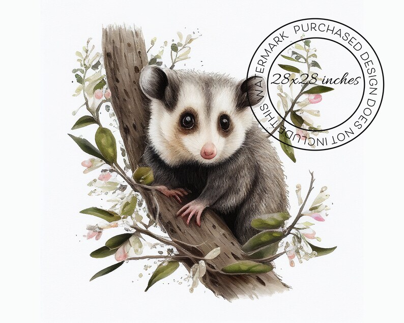 Australian Animals Wall Art Set of 5, Koala, Kangaroo, Possum, Emu ...