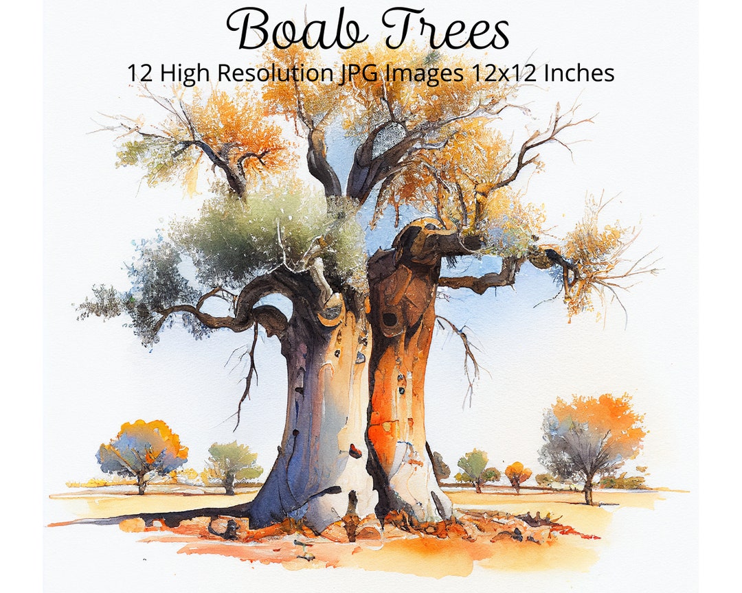 Boab Trees Australian Outback Printable Art Boab Wall Art - Etsy