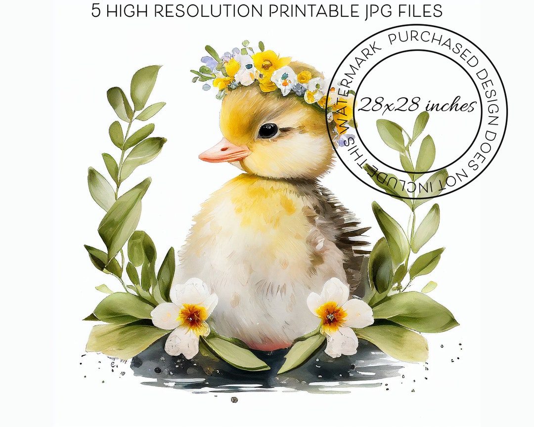 Floral Ducklings Clipart Baby Ducks Floral Crown Fluffy - Etsy