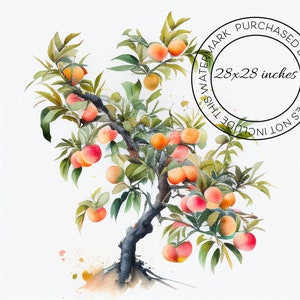 Peach Clipart Set, Peach Tree, Watercolour Peach, Peach Fruit Bowl ...
