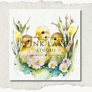 Spring Ducklings Digital Papers, 12x12" Watercolor Baby Duck Clipart ...
