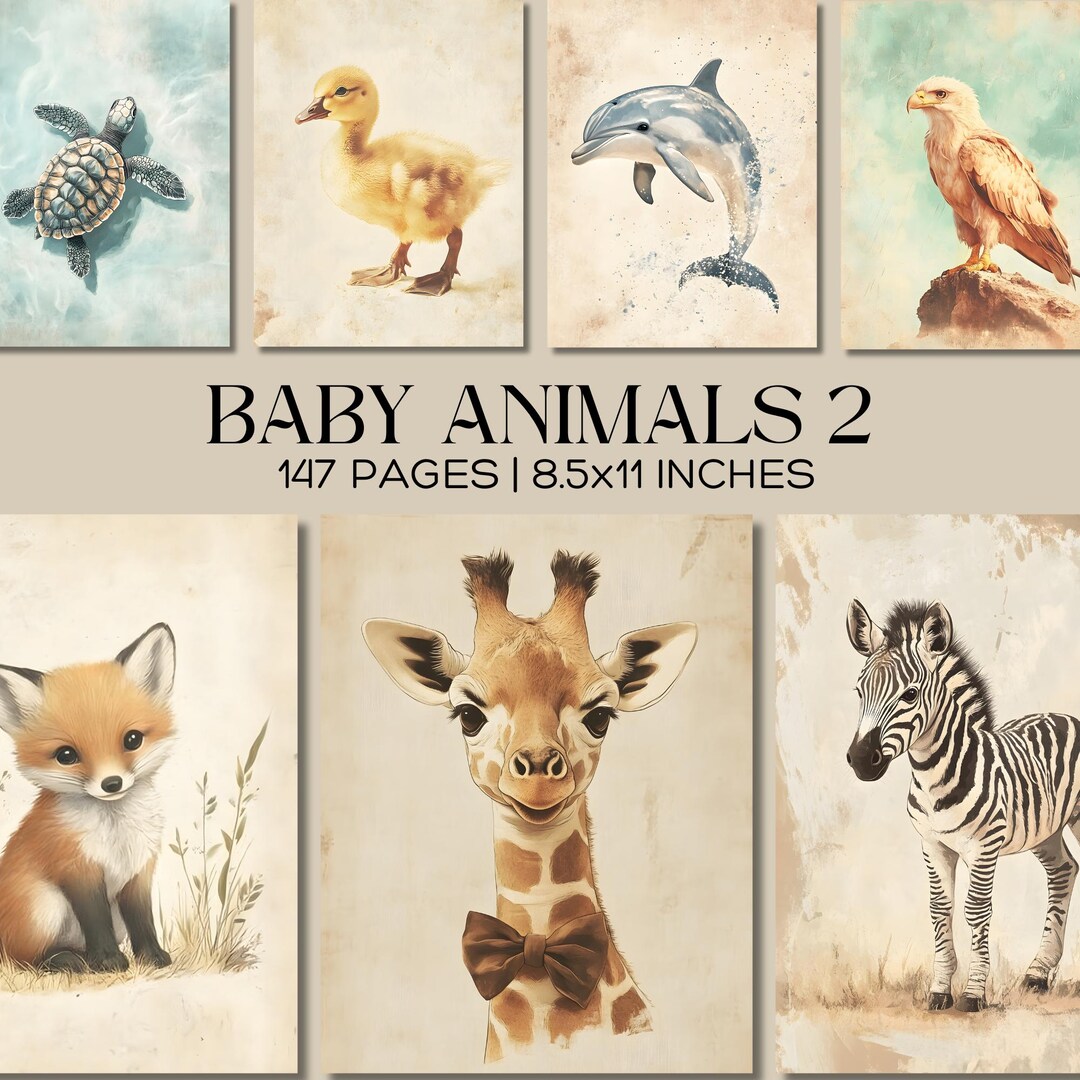 Watercolor Baby Animal Prints, Nursery Art, Scrapbook Paper (digital ...